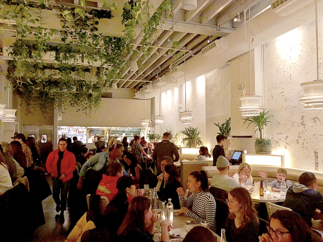 Oxomoco - Gourmadela